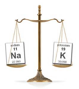 Sodium Potassium Balance